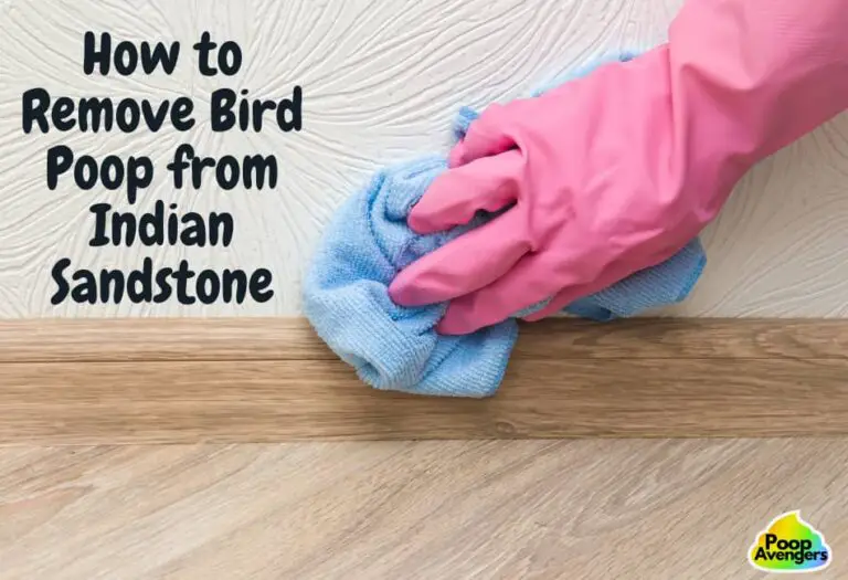 Cleaning Poop off Different Types of Wall Surfaces – Cleaning Poop ...