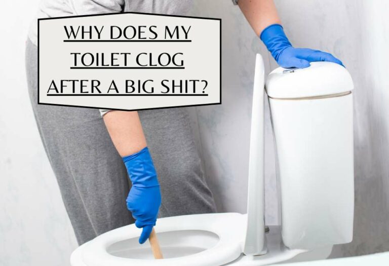 6 Reasons Your Toilet Clogs After a Big Poop Plus Fix – Cleaning Poop ...