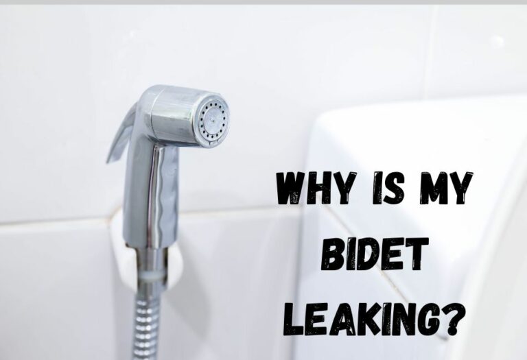 8 Reasons Bidets Leak: Fix & Preventive Tips – Cleaning Poop Stains ...