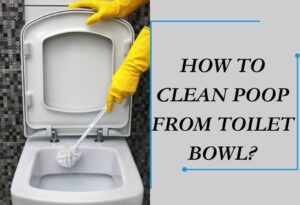 5 Home Remedies to Clean Poop from Toilet Bowls – Cleaning Poop Stains ...