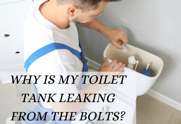 9 Reasons Your Toilet Tank is Leaking from the Bolts – Cleaning Poop ...