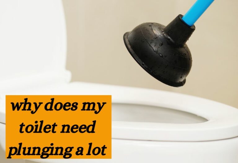 6 Reasons Your Toilet Requires Frequent Plunging – Cleaning Poop Stains ...